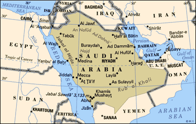 Worldpress.org - Saudi Arabia Profile